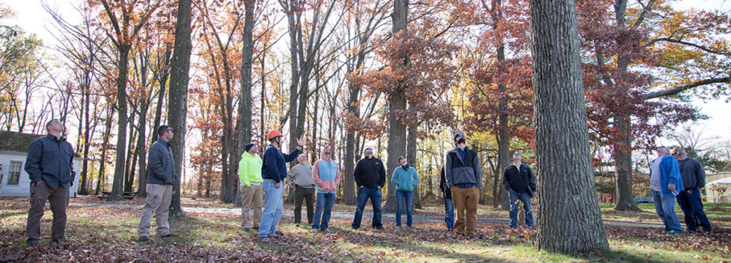 Hazardous Tree Identification Course – Rutgers NJAES Office of ...