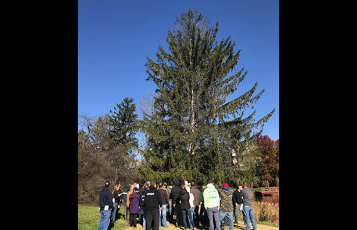 Introduction to Plant Identification – Rutgers NJAES Office of ...