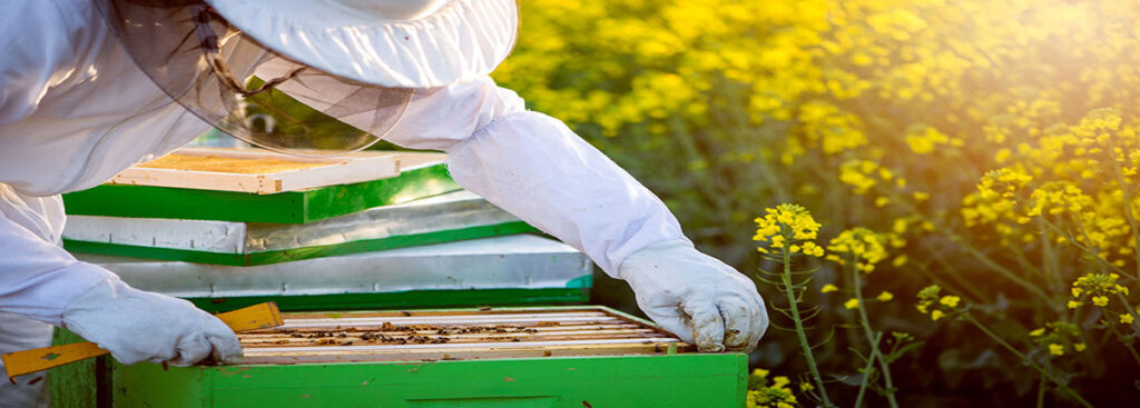 Beekeeping Classes – Rutgers NJAES Office of Continuing Professional ...
