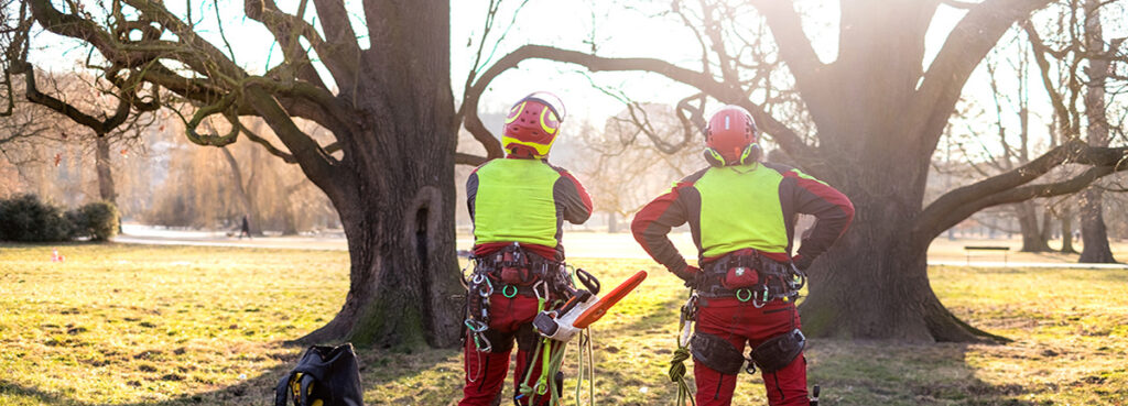 Best Management Practices for Tree Care – Rutgers NJAES Office of ...