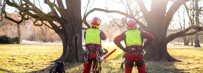 Best Management Practices for Tree Care – Rutgers NJAES Office of ...