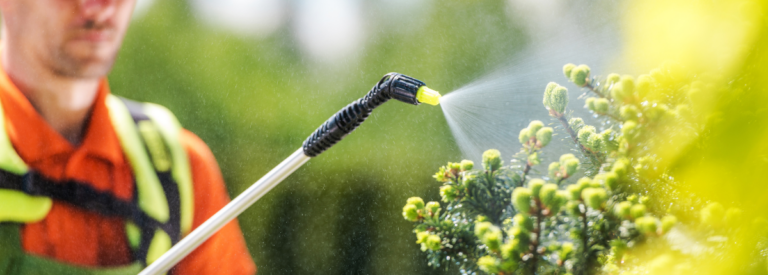 Invasive Plants: Identification and Management – Rutgers NJAES Office ...